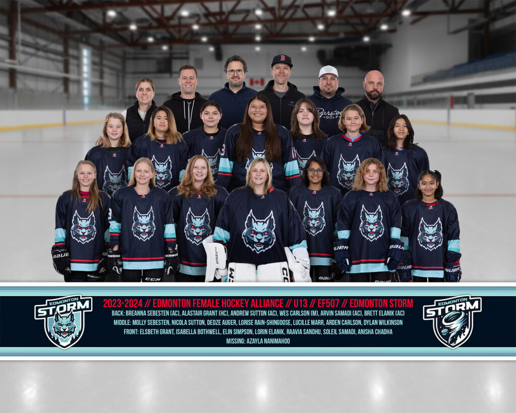 Teams | Edmonton Female Hockey Alliance